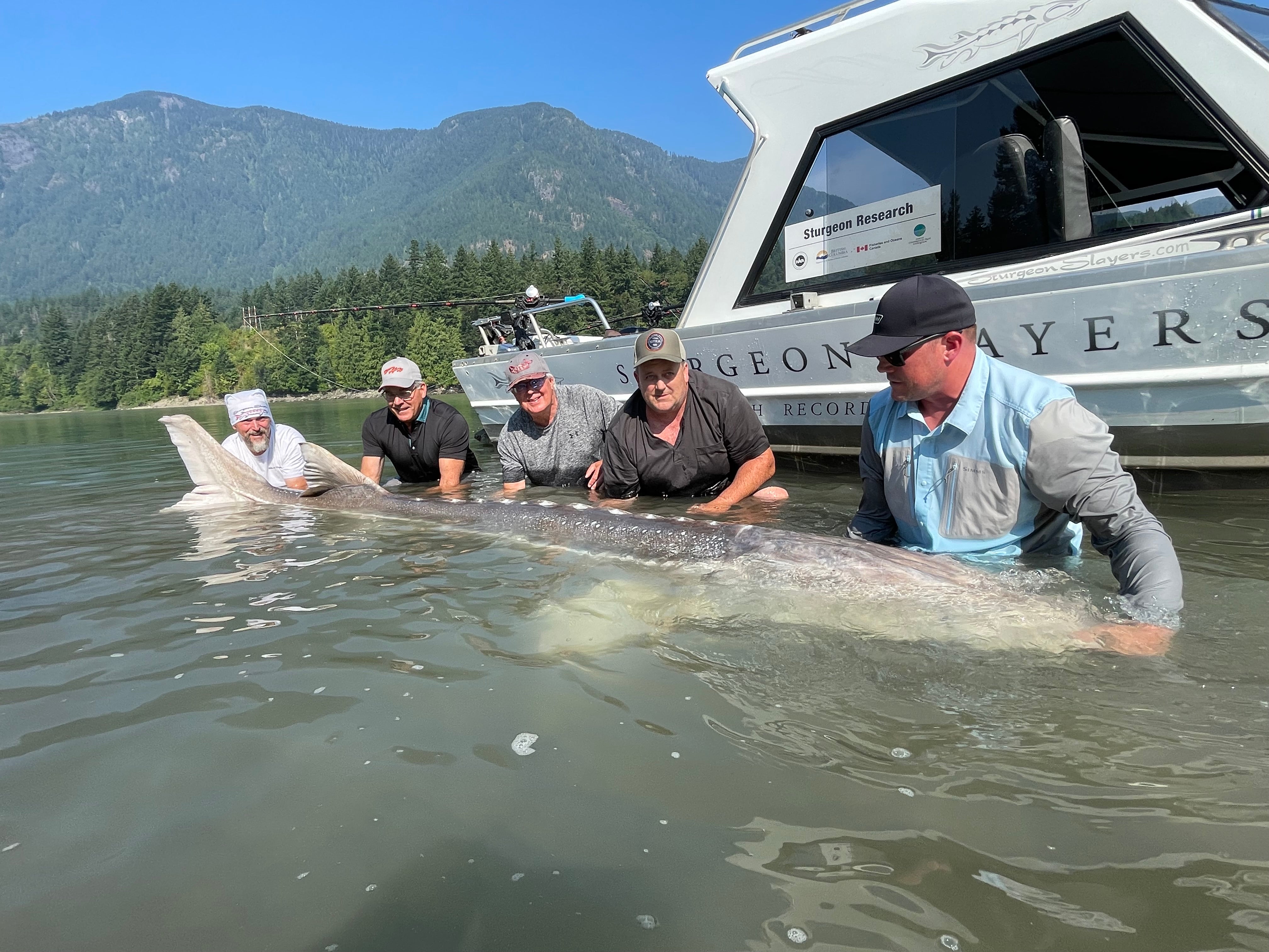 News & Notes – tagged "record setting white sturgeon" – Sturgeon Slayers